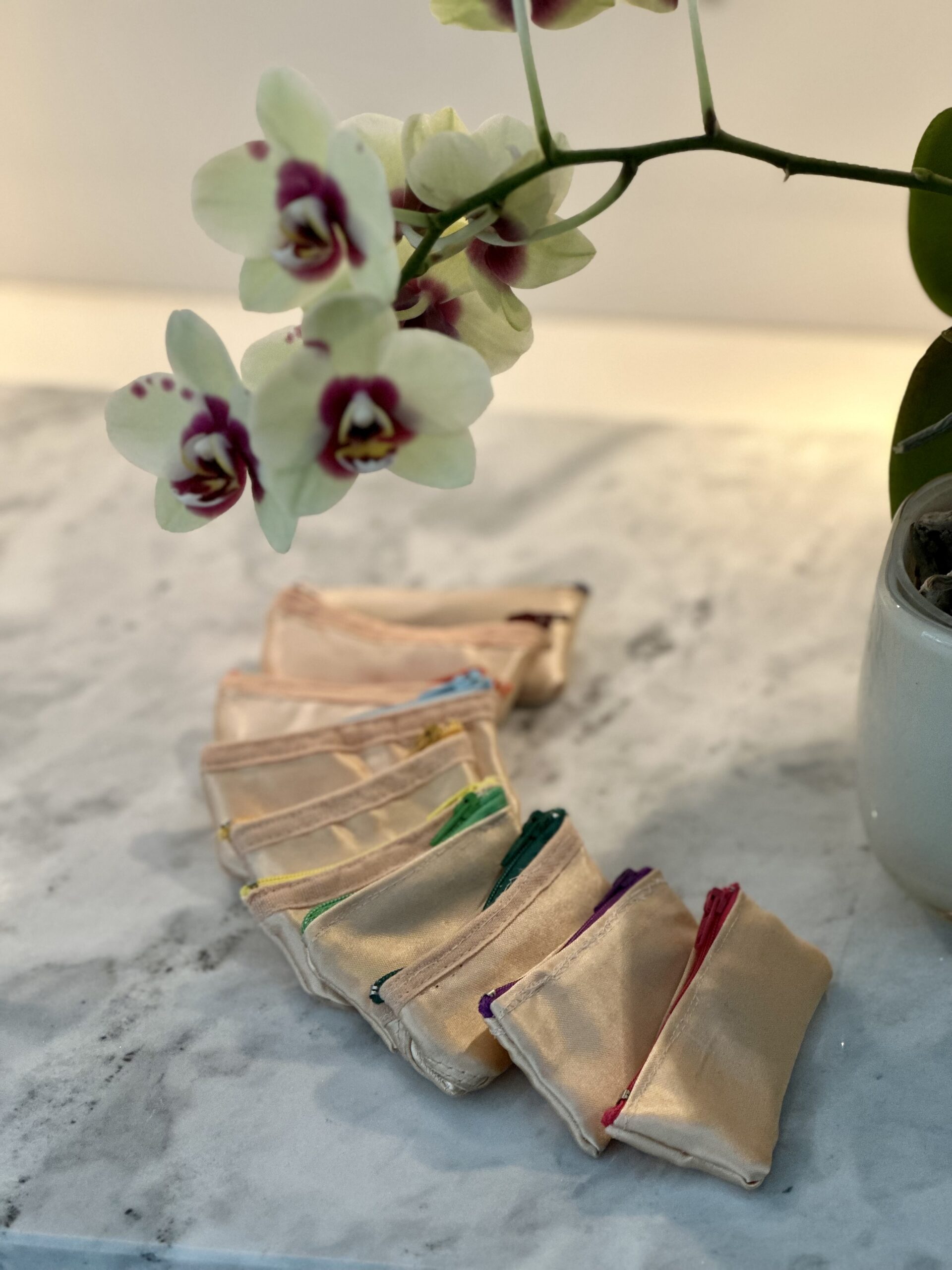 Planet Pointe – Sustainability En Pointe