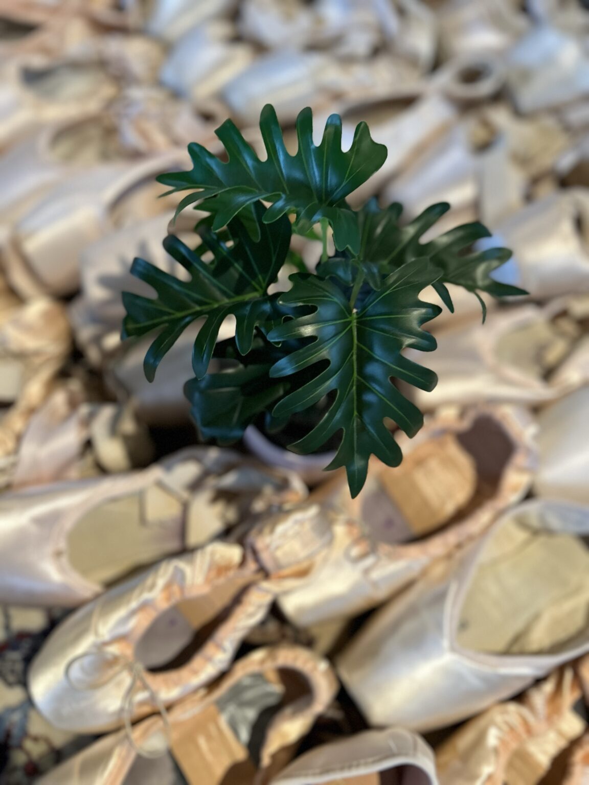 Planet Pointe – Sustainability En Pointe