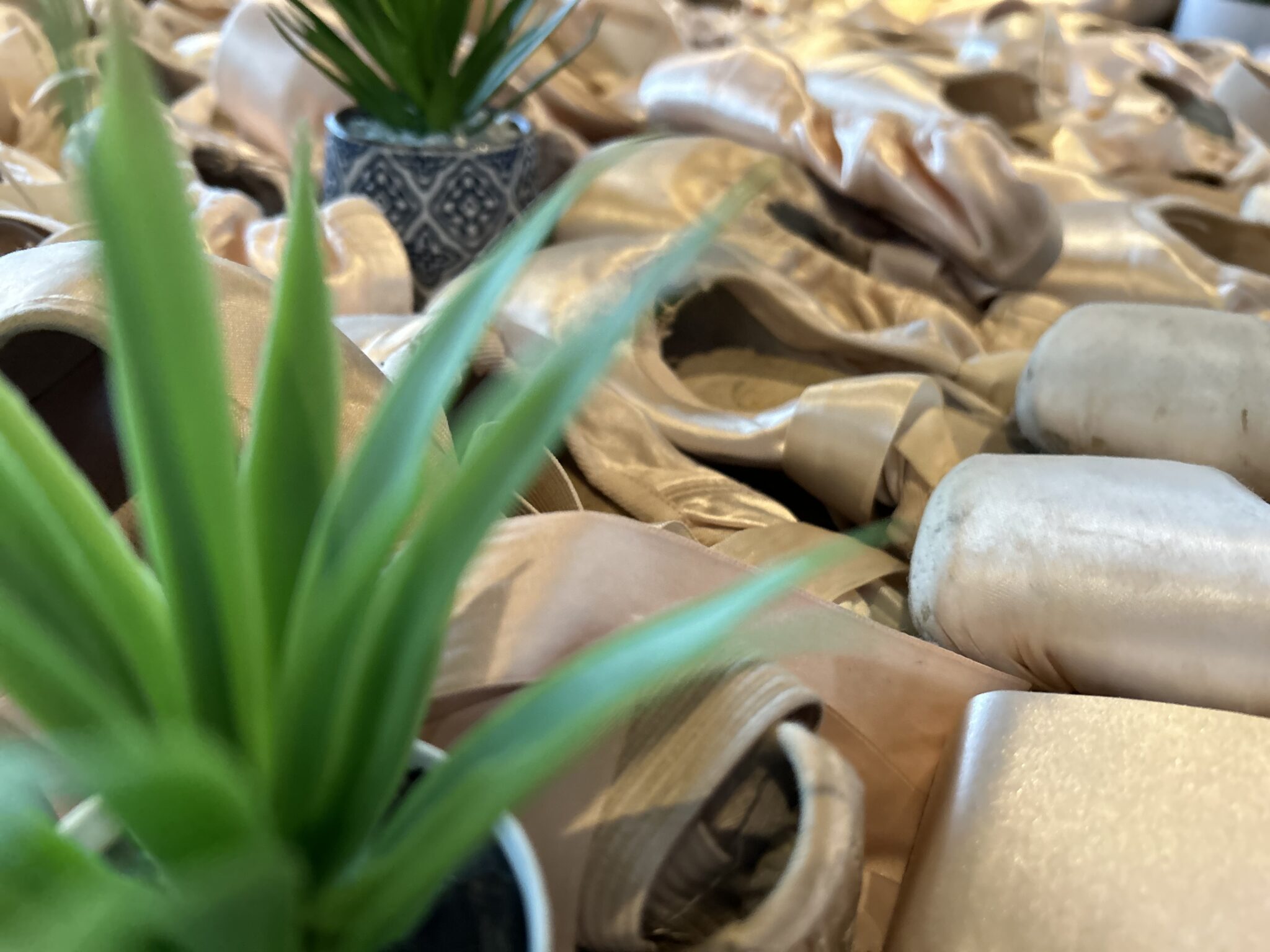 Planet Pointe – Sustainability En Pointe